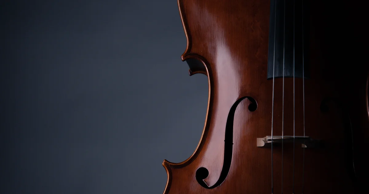 Cello x 12 | Kölner Philharmonie